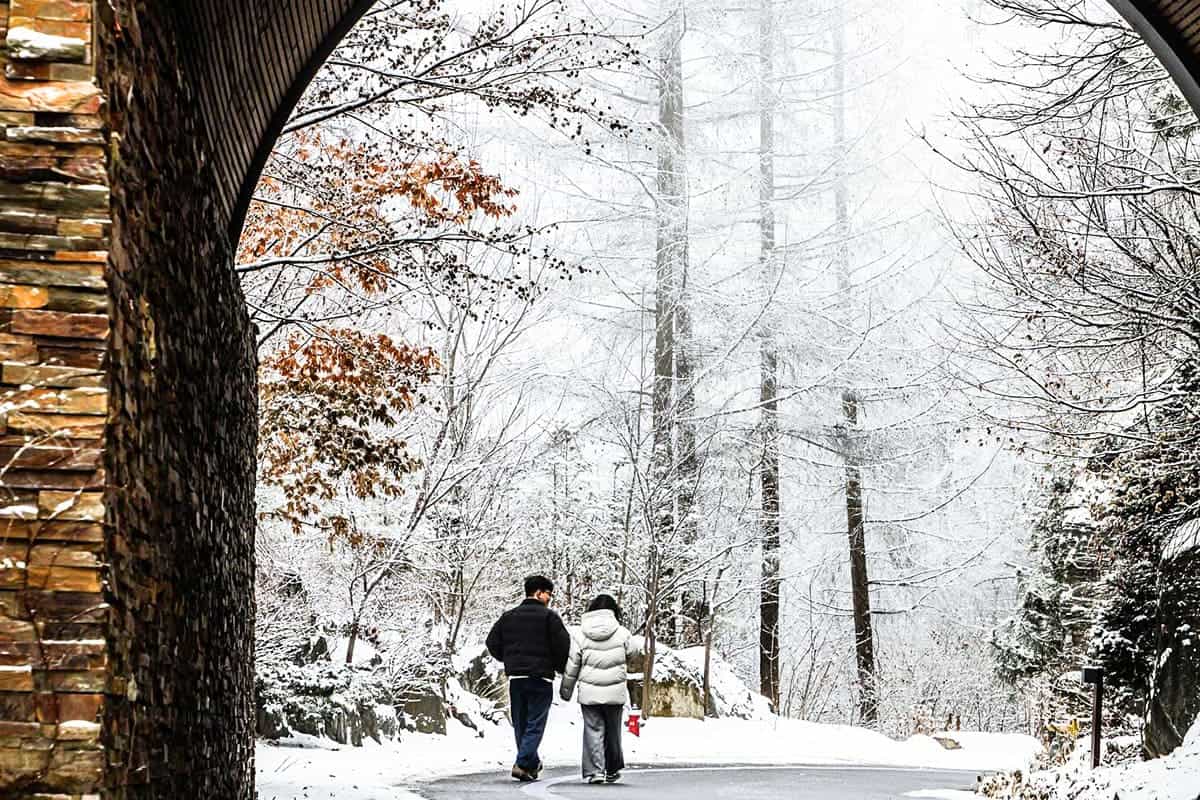 “새해 첫 여행은 이곳으로?”… 숲과 온천을 동시에 즐길 수 있는 특별한 여행지 - 여행을말하다