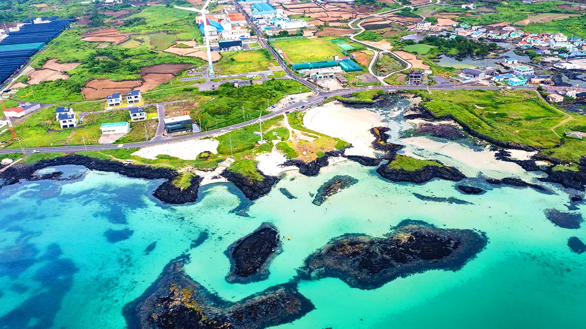 "지금 아니면 1년을 기다려야 한다"… 주민들만 조용히 즐기는 벚꽃 명소 2곳 - 여행을말하다