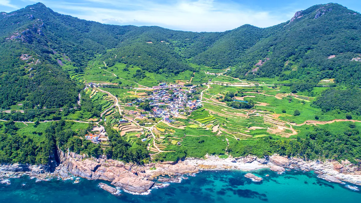 "연간 70만 명이 다녀가는 마을이 있다고?"... 108층 계단식 논과 바다 절경 명소 - 여행을말하다