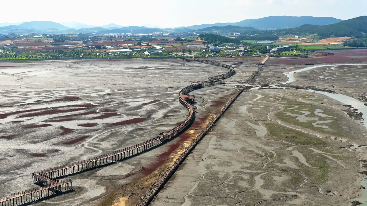 "국내 최장 1.5km 바다 위를 걷는다"… 98억 들인 유네스코 세계유산 산책 명소 - 여행을말하다