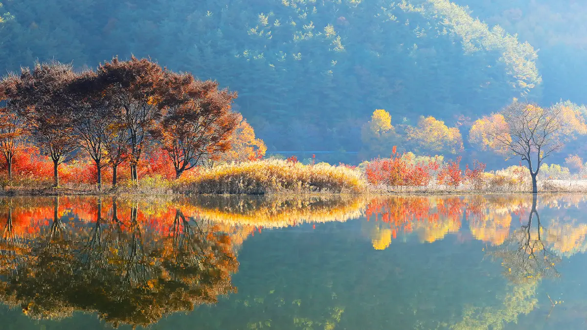 "단풍이 두 번 피는 곳이 있다고?"... 호수·물안개가 그린 반영으로 즐기는 한적한 가을 명소 - 여행을말하다