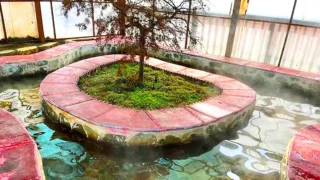 "3만 년 동안 솟은 천연 온천수?"... 수도권에서 1시간이면 닿는 당일치기 힐링 명소 - 여행을말하다